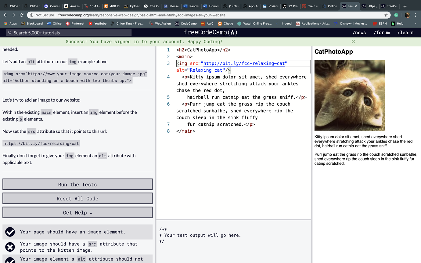 Https www freecodecamp learn responsive web design basic html and 