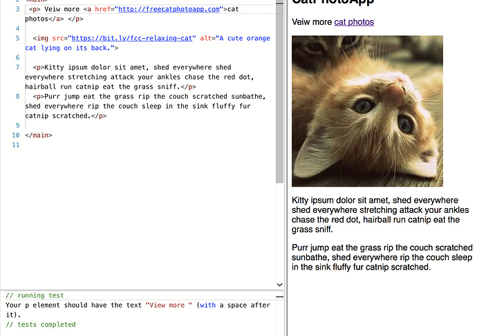 Nest An Anchor Element Within A Paragraph HTML CSS The 